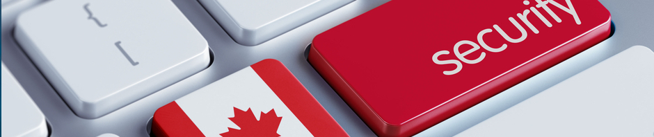 Pros and Cons of Digital Identity - Cyberinsight CanadaCyberinsight Canada